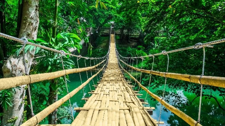 30 of the Most Scenic Footbridges Around the World – Page 13