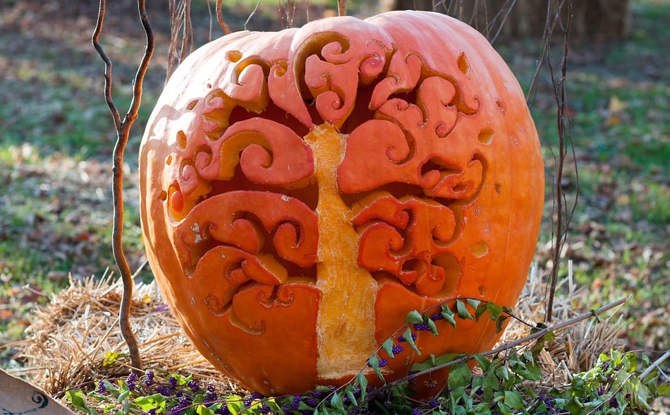 28 Funny/Scary Pumpkin Design Photos – Page 14