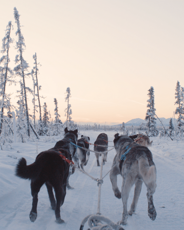 50 Pictures Showing the Unique Side of Living in Alaska – Page 46