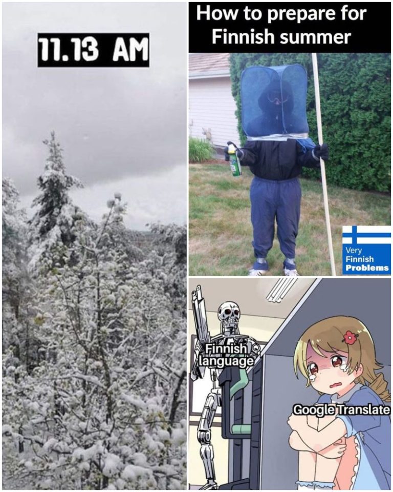 Users Share the Reality of Living in Finland Through Jokes and Memes