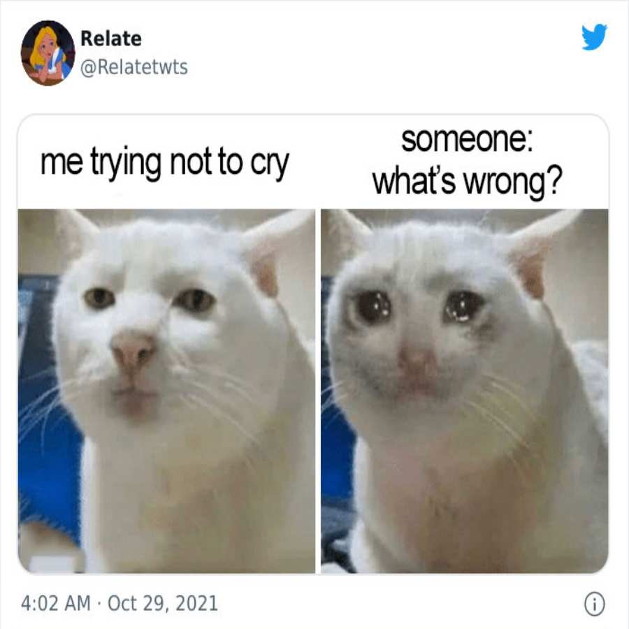 These Relatable Everyday Life Memes Made Us Feel Seen – Page 11