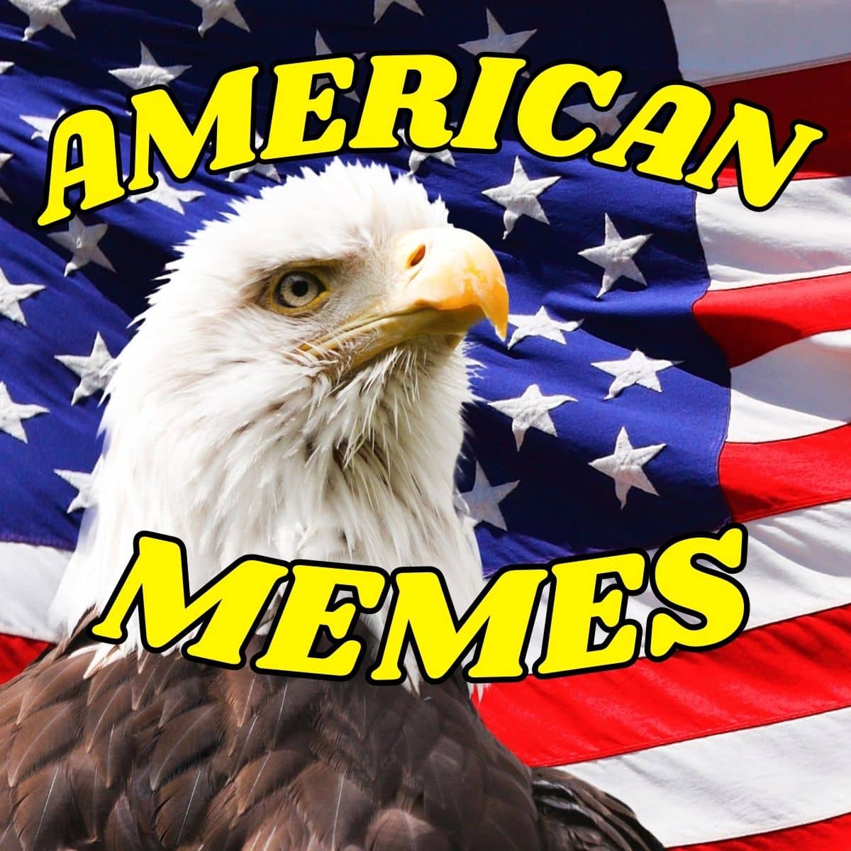 These Extra-American Memes Depict the U.S. Perfectly