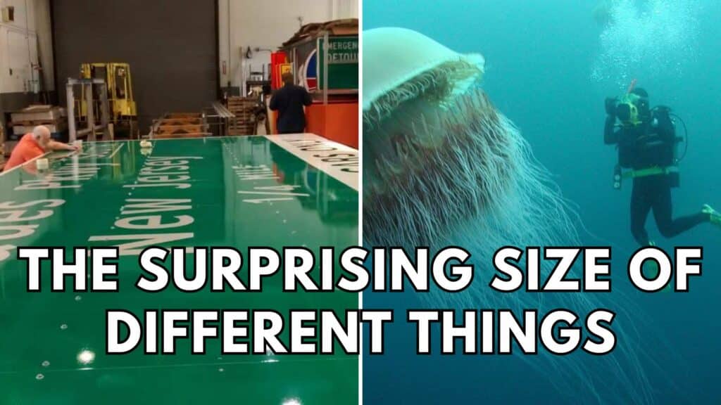 45 Things That Are Much Bigger or Smaller Than We Thought