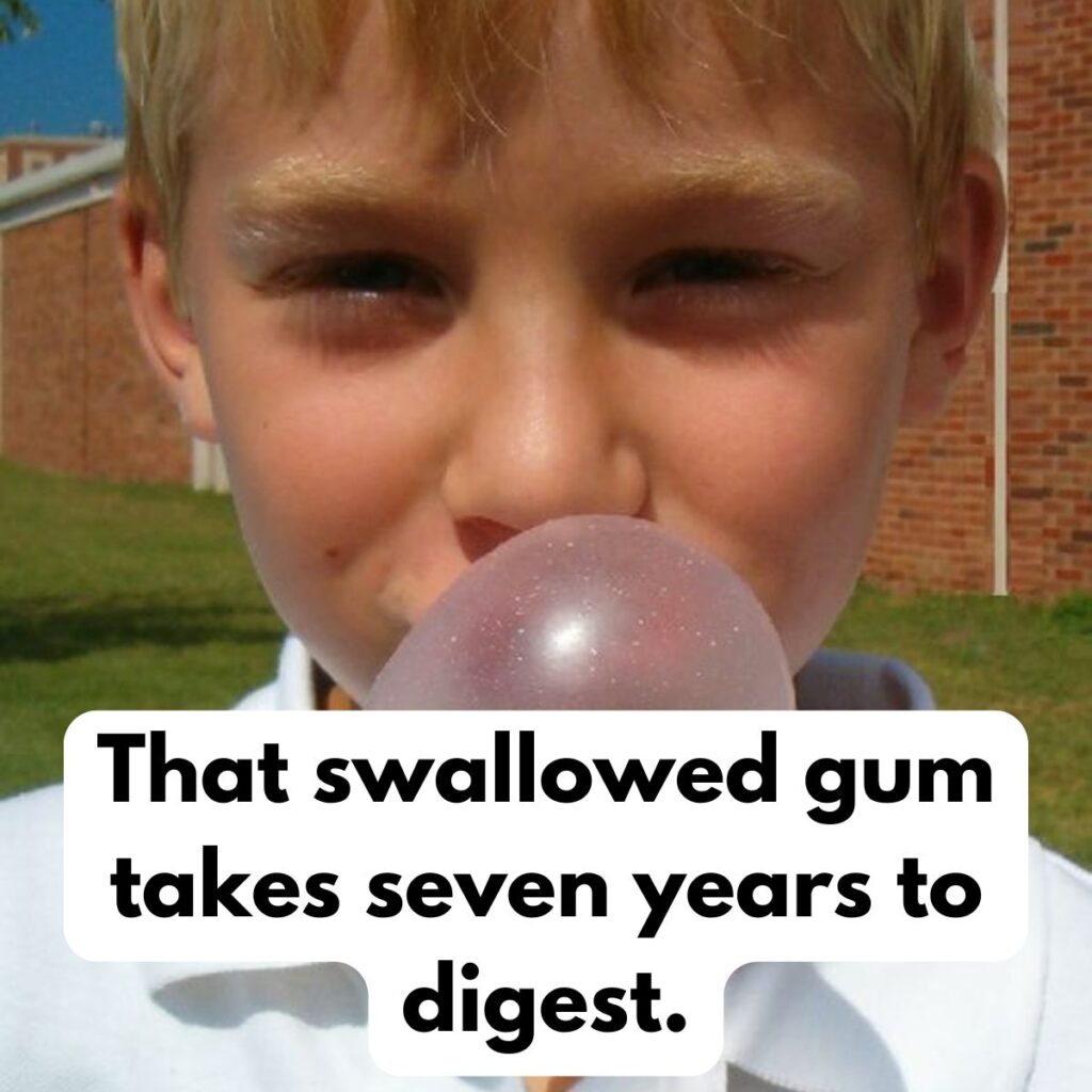 30 Shameless Lies People Were Told While Growing Up – Page 17