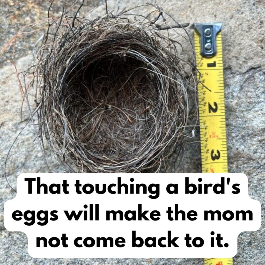30 Shameless Lies People Were Told While Growing Up – Page 24