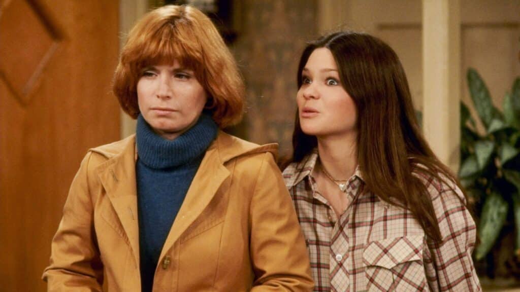 28 Forgotten Sitcoms That Were Once Very Popular – Page 25