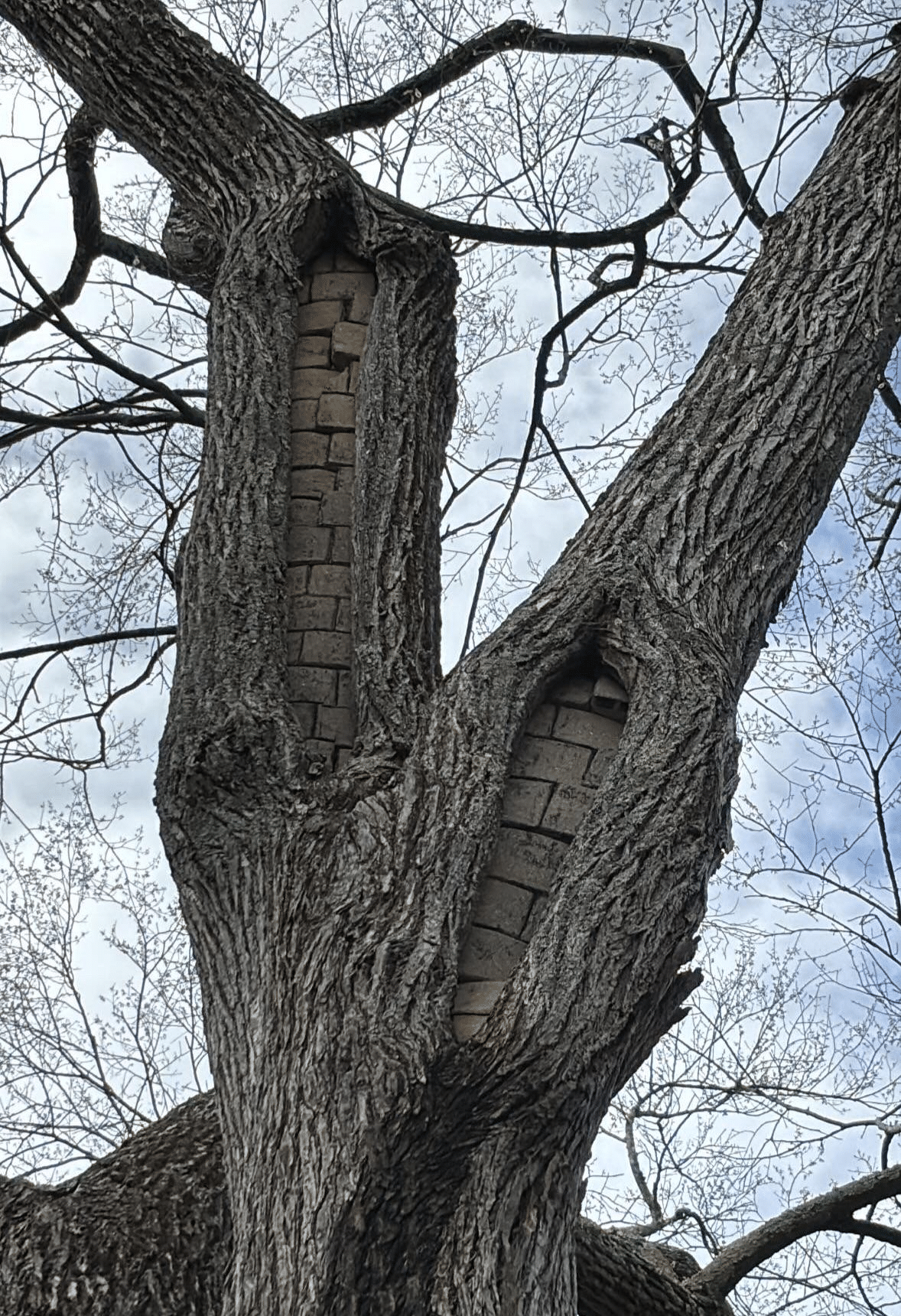 27 Things That Are the Definition of “Mildly Interesting” – Page 3