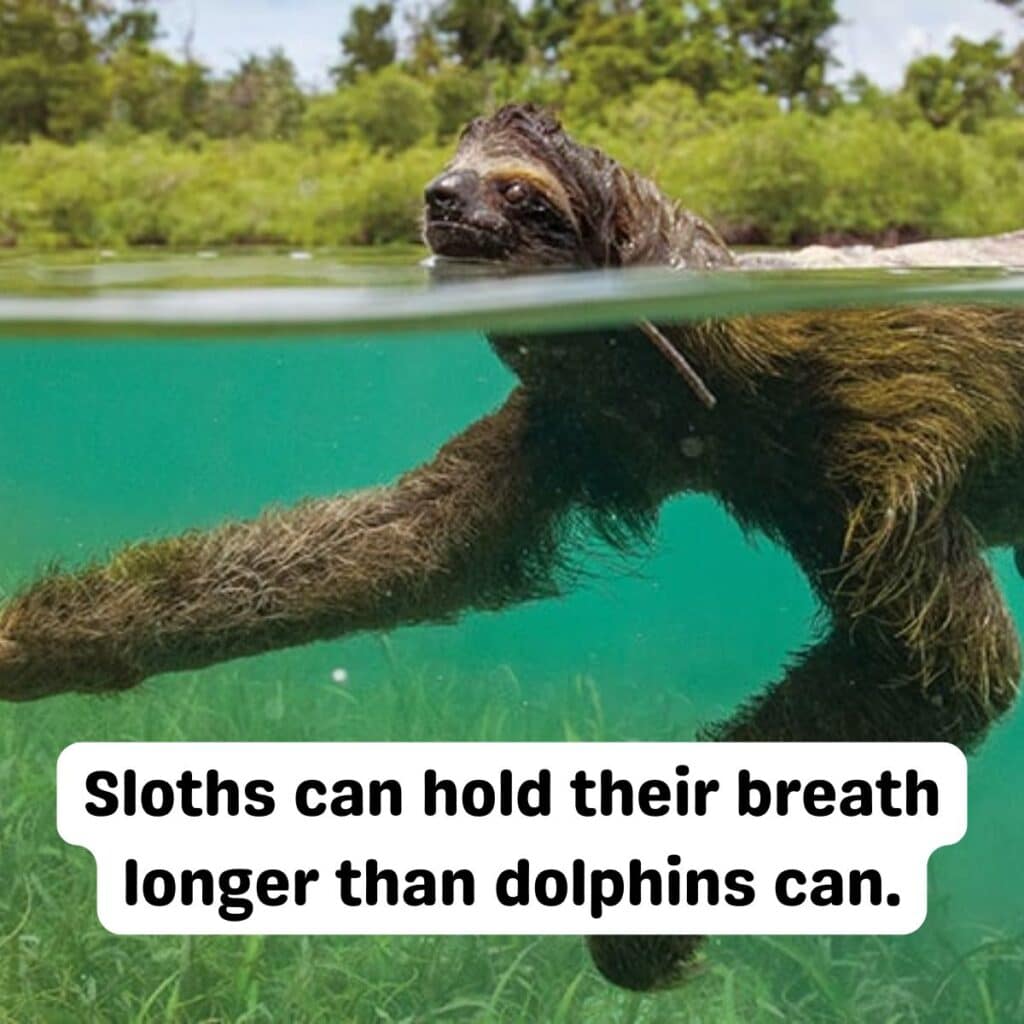 23 Facts That Are Utterly Useless But Fascinating – Page 23