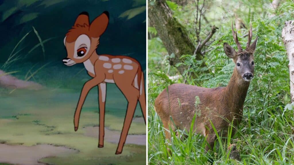 27 Fictional animals that were inspired by real ones