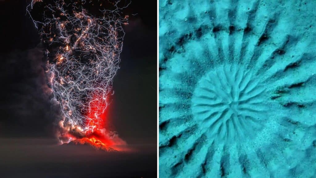 Natural Events So Rare Most People Never See Them